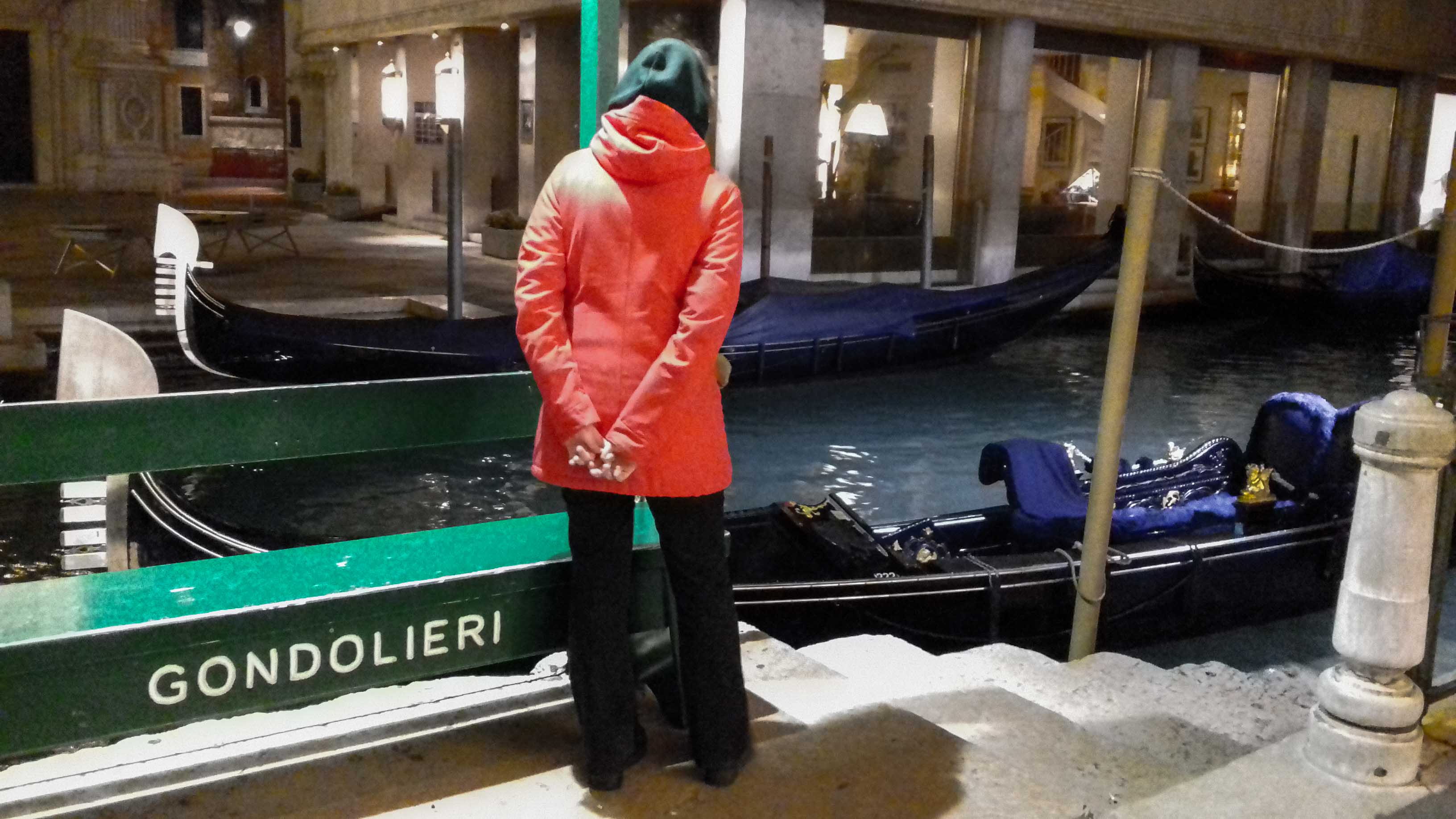 Exploring the Arctic at Venice International University – Arctic ...